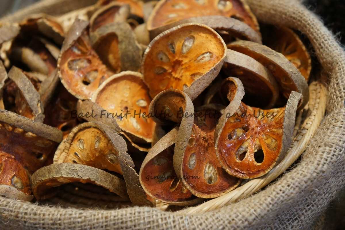 Bael Fruit Health Benefits and Uses