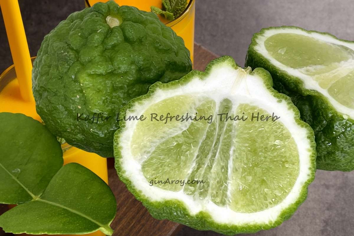 Kaffir Lime Refreshing Thai Herb with Health Benefits