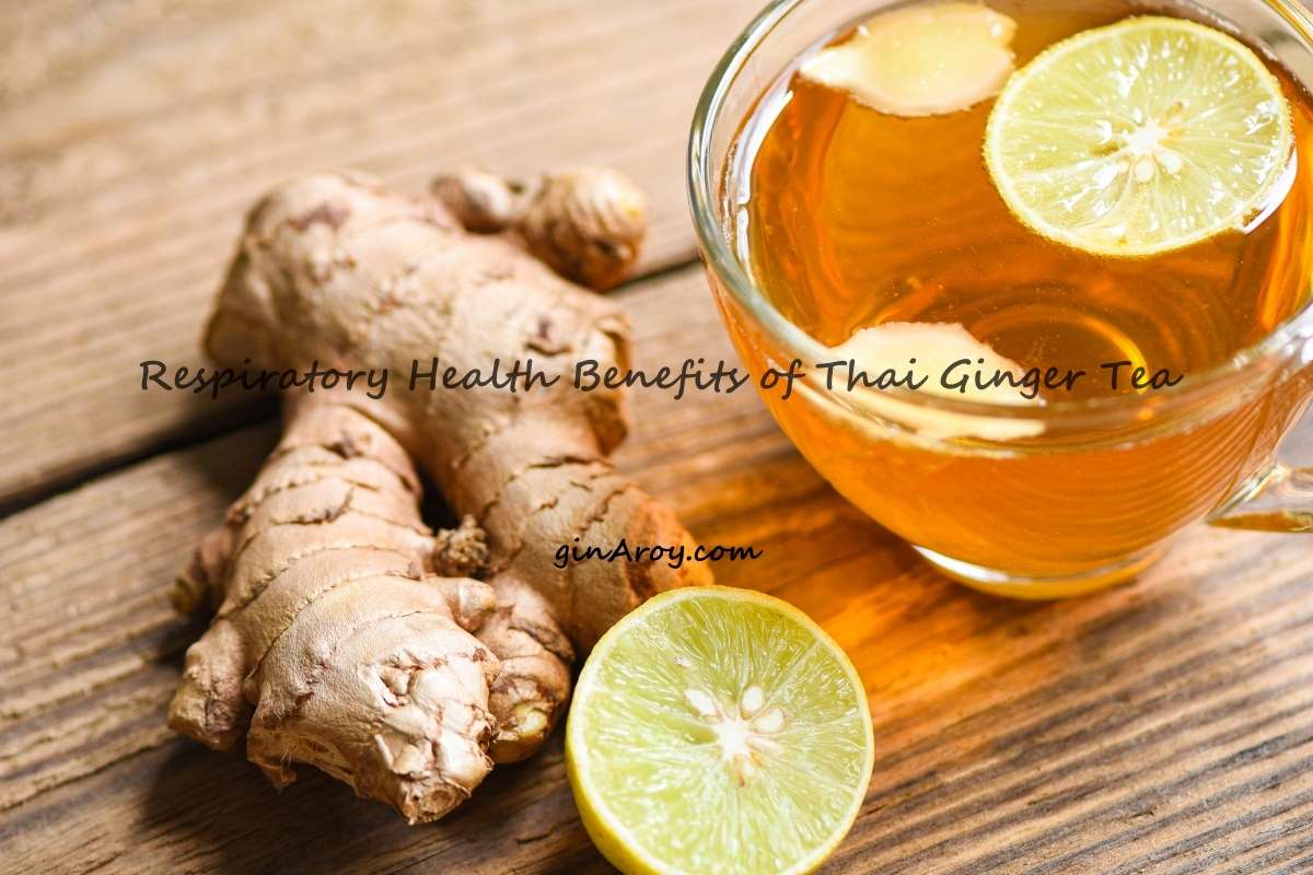 Discover the Respiratory Health Benefits of Thai Ginger Tea