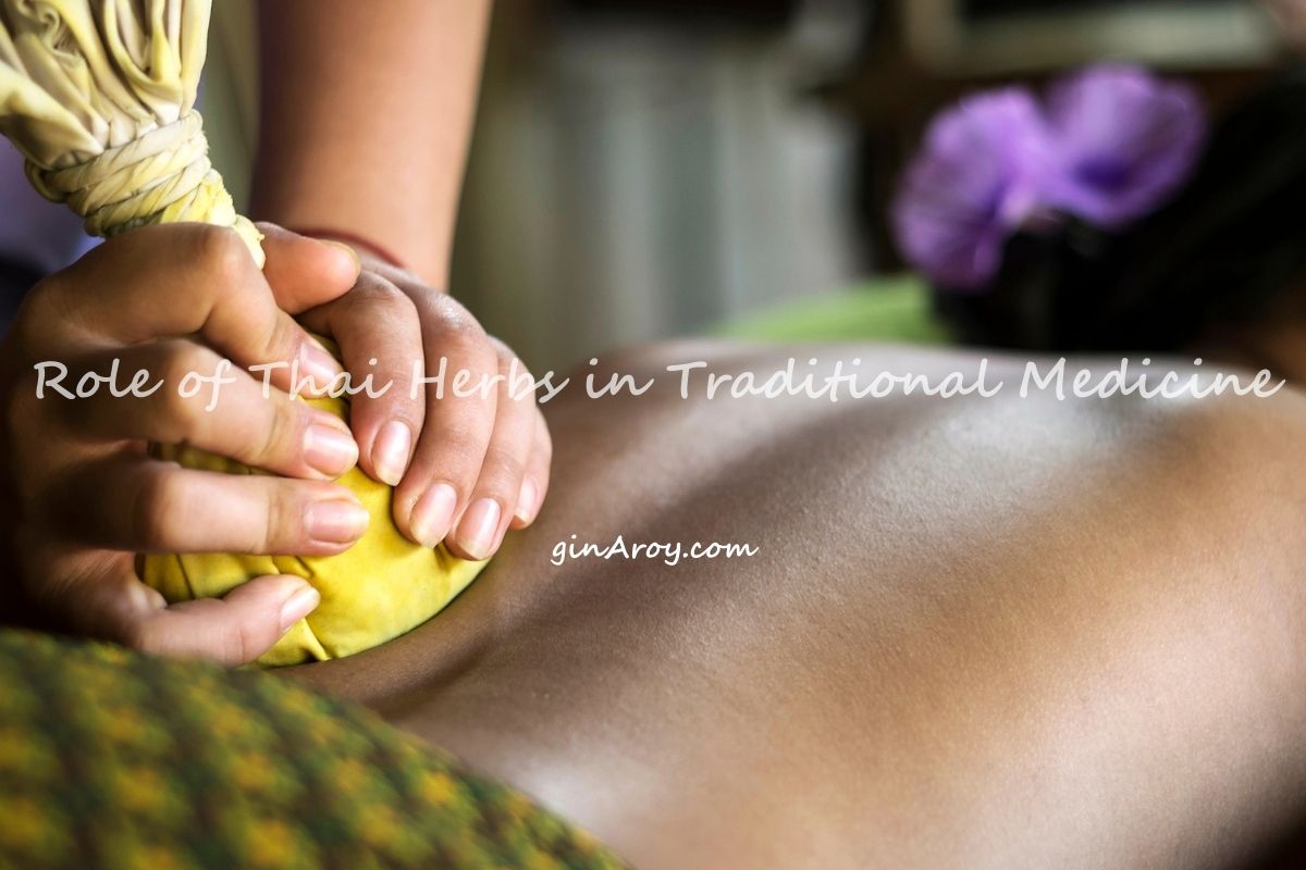 Role of Thai Herbs in Traditional Medicine and Cooking