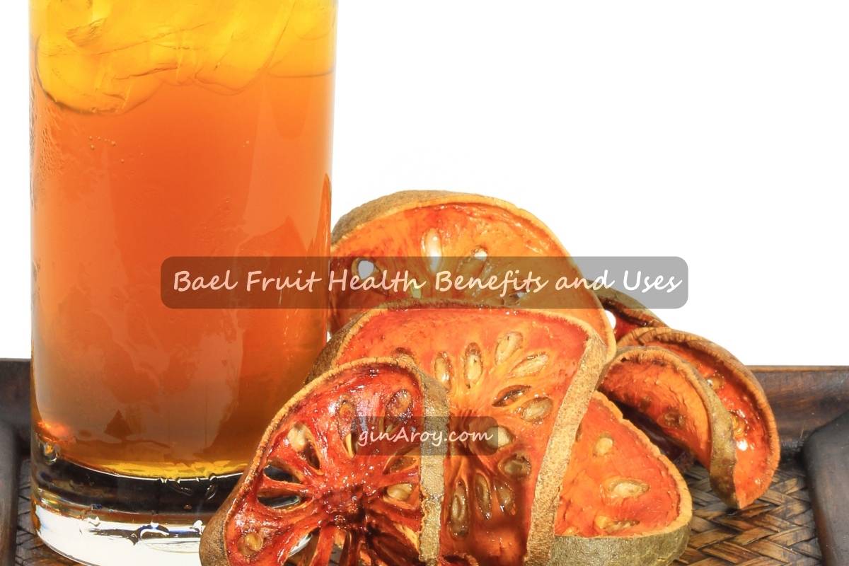 Bael Fruit Health Benefits and Uses