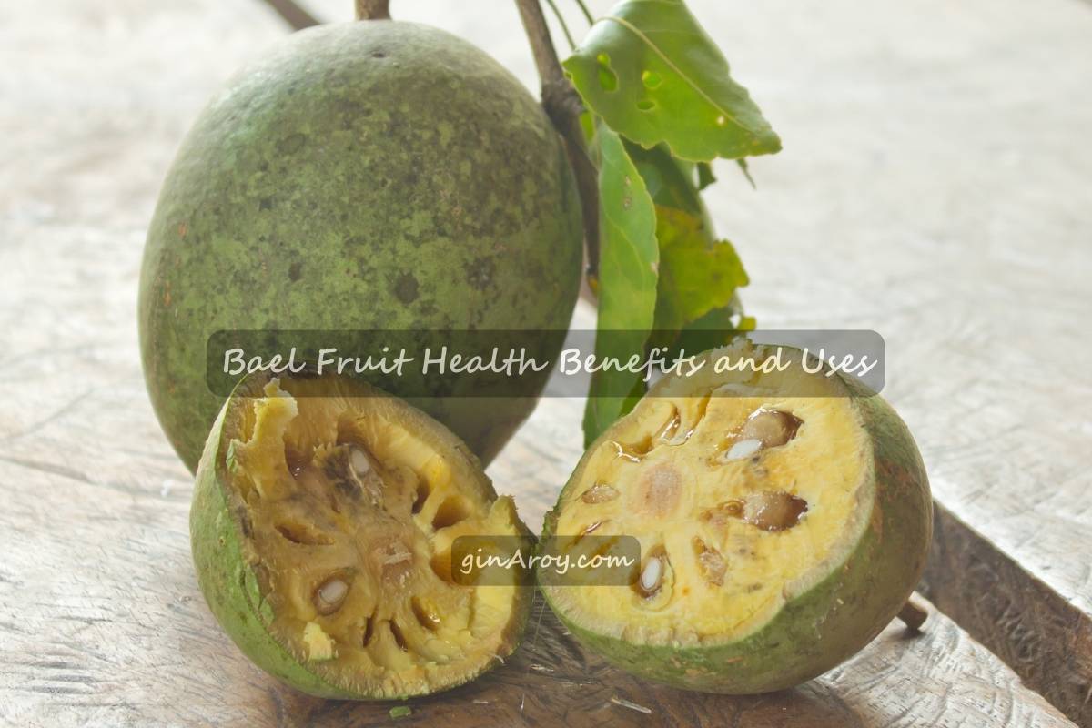 Bael Fruit Health Benefits and Uses