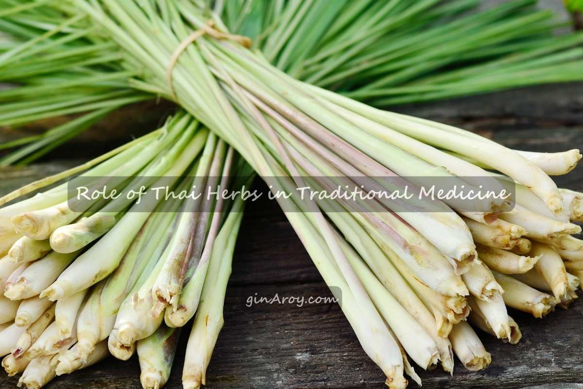 Role of Thai Herbs in Traditional Medicine and Cooking